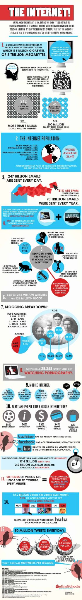 Internet Infographics - Infographic Website