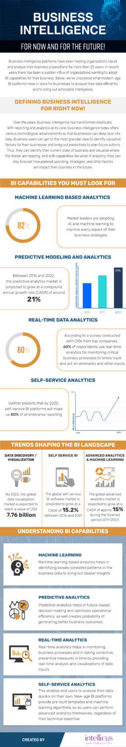 Business Intelligence Concepts & Components - Infographic Website