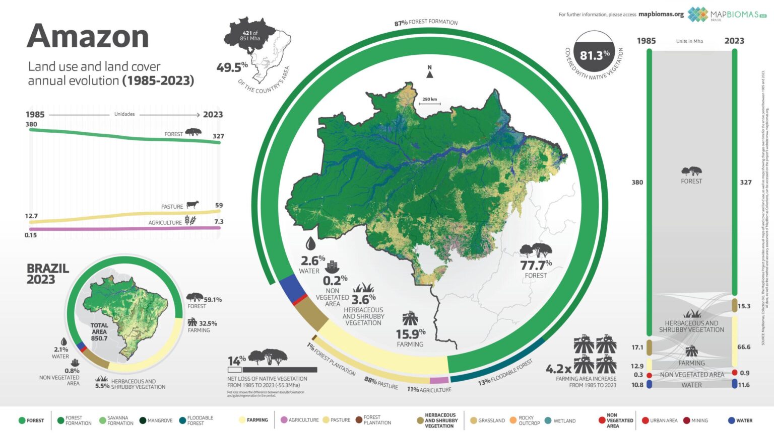 Amazon Land Use and Cover Evolution Insights - Infographic Website